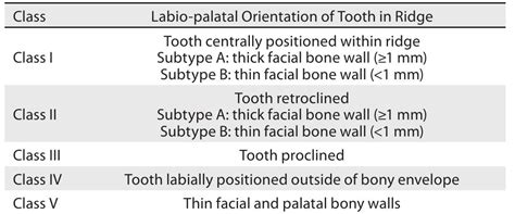 Describing The Different Classes Of The Root Orientation In
