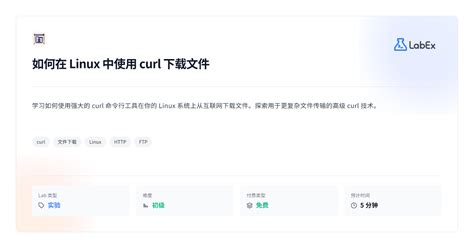 如何在 Linux 中使用 Curl 下载文件 Labex