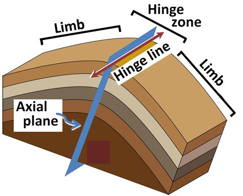 Fold Diagram Geology Fold Geology Earth Science