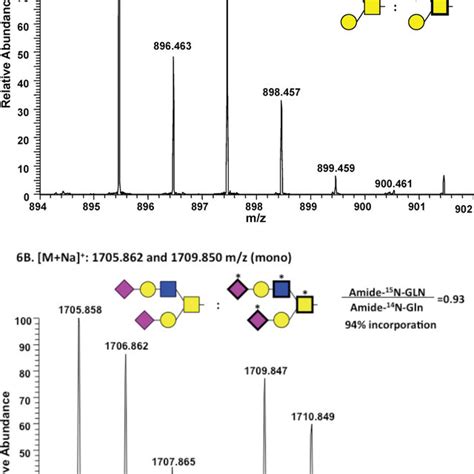 Quantitative Analysis Of O Linked Glycans A Mixture Of O Linked Glycans