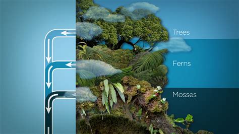 evolution ecosystems 60 photo