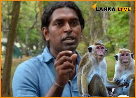 Lanka Live ලංකා ලයිව්