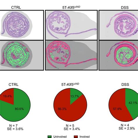 Binary ‘involved Versus ‘uninvolved Classifier Outputs A Download Scientific Diagram