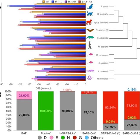 A Binding Energy Estimation Between Vertebrate Ace2 And Sars Cov 2 Rbd