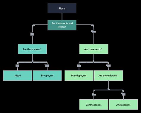 Dichotomous Key Comprehensive Guide With Editable Examples Creately