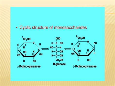 Structure Of Monosaccharides Pptx