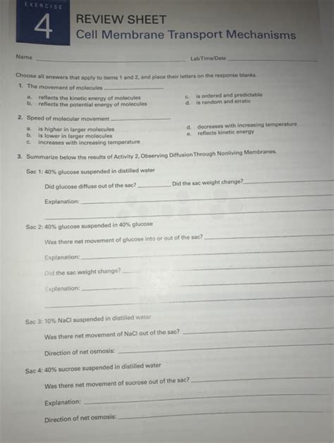 Membrane Function Worksheet Answers Printable Word Searches