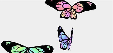 个富有创意的HTML Canvas动画特效集合
