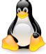 Glossario Linux It