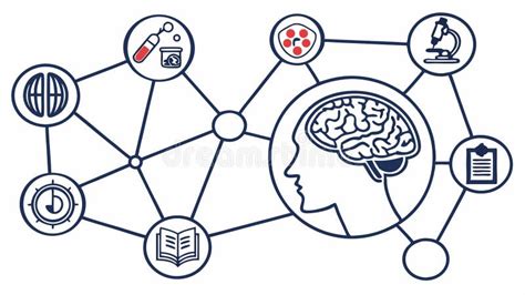 Brain Network Neural Connections Cognitive Function And Mind Map Brain Map Vector Design