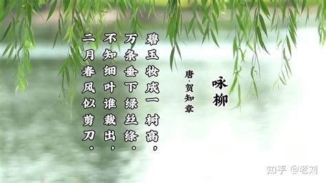 诗中常用柳树意象表达挽留之意你还知道哪此含柳字表达离别的诗句 知乎