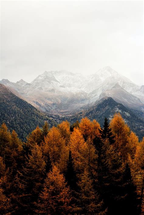Aesthetic Nature Wallpapers 4k Hd Backgrounds On Wallpaperbat