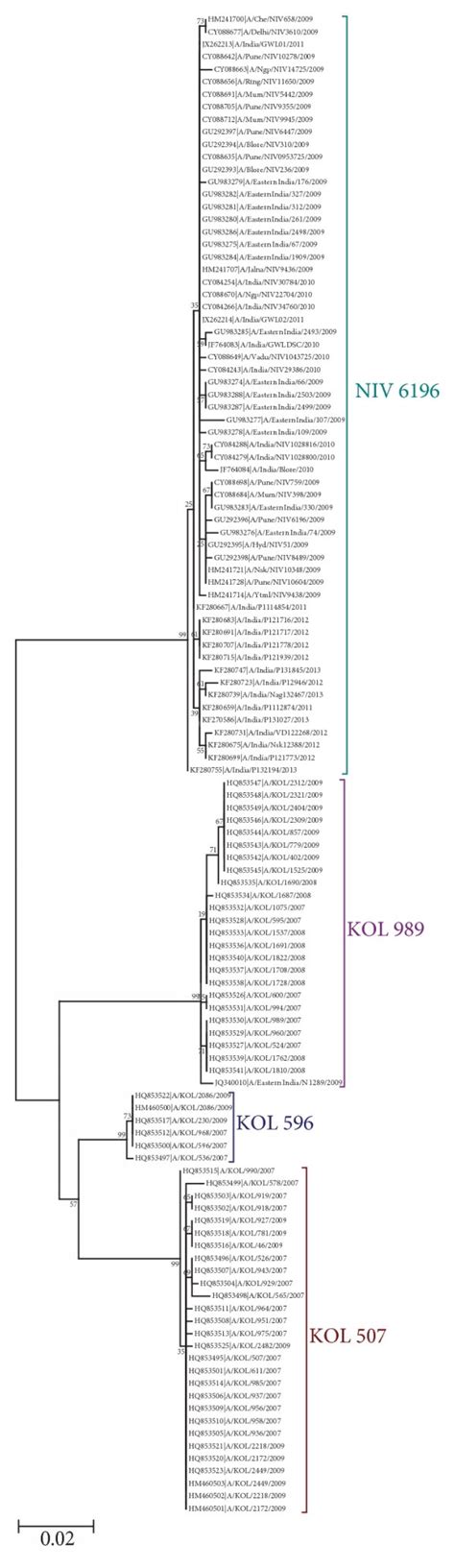 Phylogenetic Tree Of All Sequences 120 Sequences From India Download Scientific Diagram