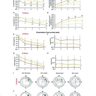 The Effect Of Sex Difference On Spatial Memory Performance Morris Download Scientific