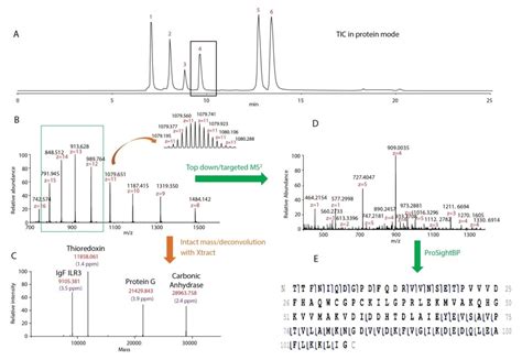 Optimizing Lc Ms Analysis Of Limited Sample Volumes