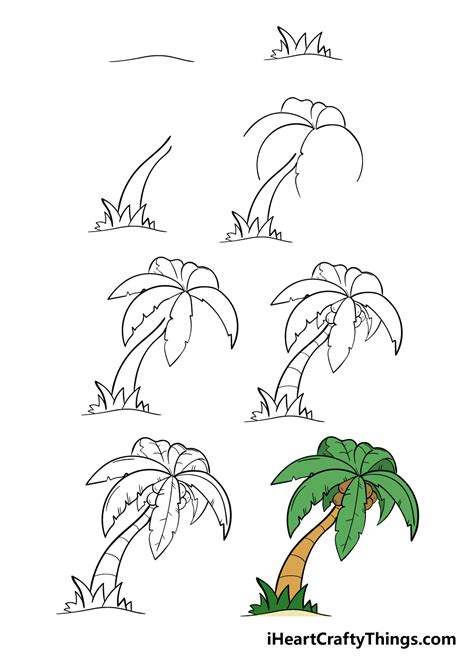 How To Draw A Palm Tree Step By Step