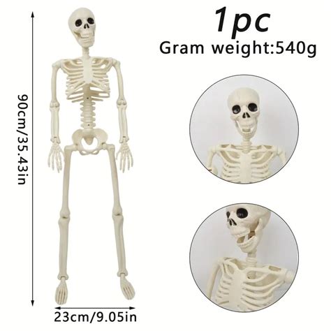 artificial skeleton human skeleton simulation human simple temu
