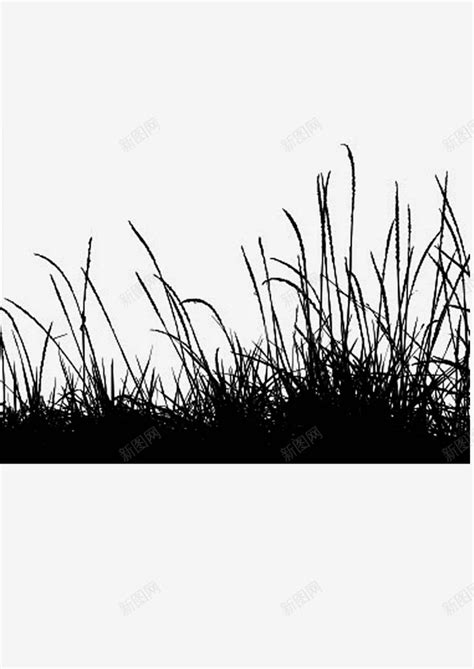 绘画植物草黑白高清素材 绘画植物 草 黑白 免抠png 设计图片 免费下载 花瓣网