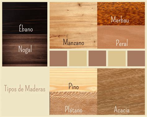 Tipos De Madera Muestras De Las Principales Maderas Comerciales