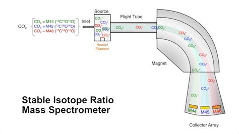 What Is A Mass Spectrometer And How Does It Work At Freddie Johson Blog