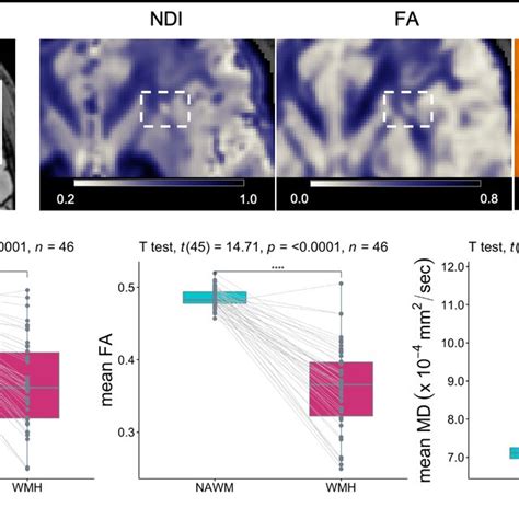 White Matter Microstructural Properties Of Small Wmh In Mri Share The