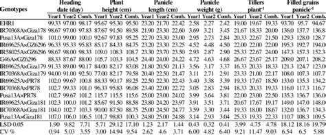 Mean Performances Of Morphological Yield And Its Components Of
