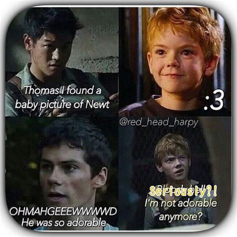 Pin By 💝bincas Lifeu💝 On Hilarious Mixed Up Maze Runner Maze Runner