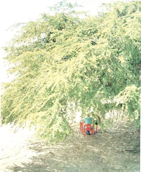 市桥织江是日本的新生代摄影师，个子娇小却 高清图片，堆糖，美图壁纸兴趣社区