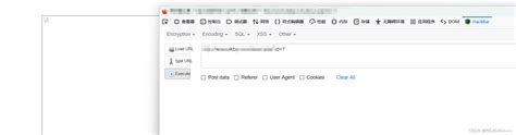 记一次我的漏洞挖掘实战——某公司的sql注入漏洞 谷歌语法搜索sql注入 csdn博客