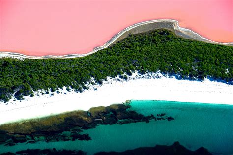 Pink Lake Wallpaper