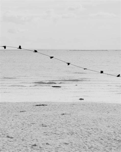 Phases Magazine On Instagram “vasilev Dmitrii Dmtr Vasilev Via Ctypemag” Natural