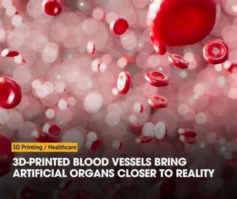 Growing Functional Human Organs Outside The Body Is A