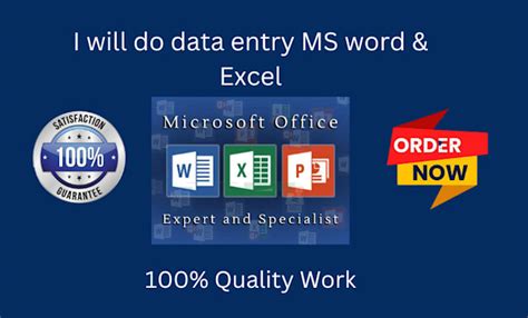 Do Data Entry Ms Word Cv And Book Formatting Excel Formula And Presentation By Laraib 22 Fiverr