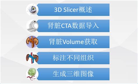 3d Slicer在肾肿瘤中的应用 经验分享 3dslicer中文论坛