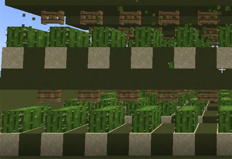 Cactus Can T Be Destroyed Occasionally Issue 8544 PaperMC Paper GitHub