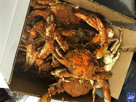 Vinces Crab House Vinces Crab House
