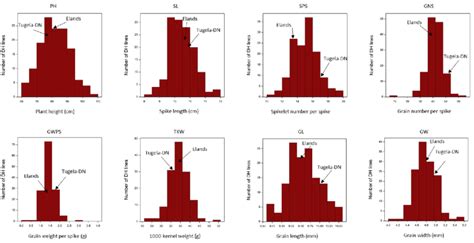 Frequency Distribution Of Agronomic Traits In The 138 Doubled Haploid Download Scientific