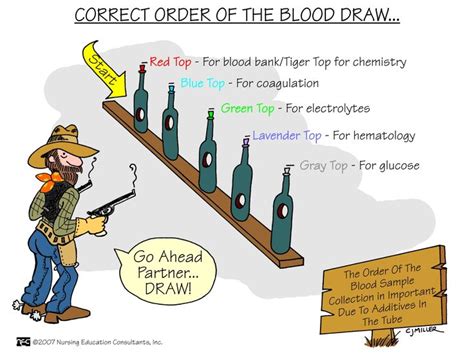 1000 Images About Phlebotomy On Pinterest Respiratory System Blood