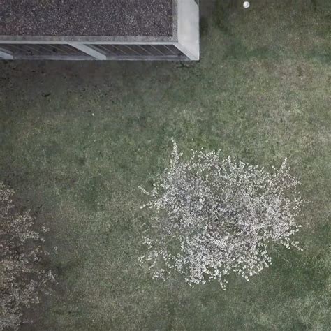 Tadao Ando Conference Pavilion And Vitra Campus Longlists Dezeen