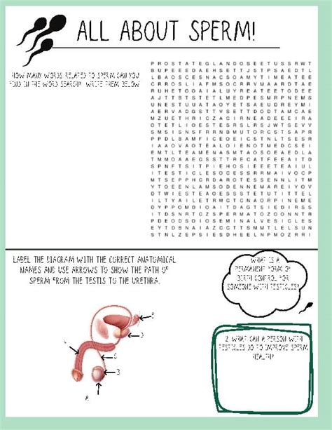 All About Sperm Informative Handout And Worksheet Grade 4 8 Tpt