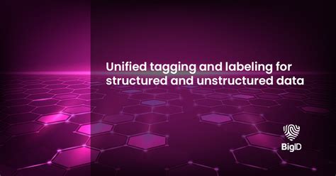 Unified Tagging And Labeling For Structured And Unstructured Data Bigid