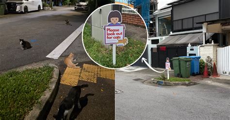 Lawyers Go To Home Of Iris Koh And Raymond Ng To Seize Items After They