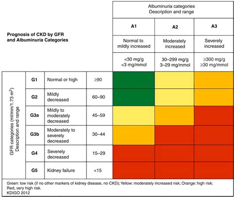 Renal And Urology System Clinical Tree