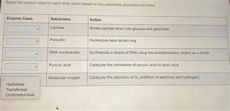 Solved Select The Correct Class For Each Drop Down Based On