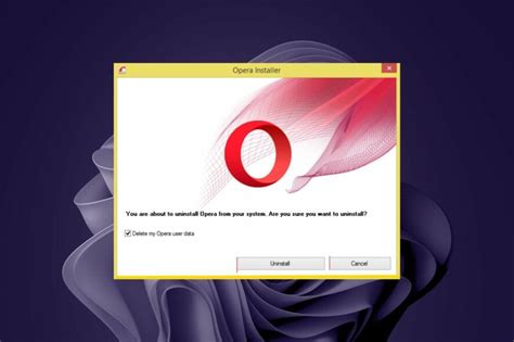 Opera Installed Itself 3 Quick Ways To Fix It