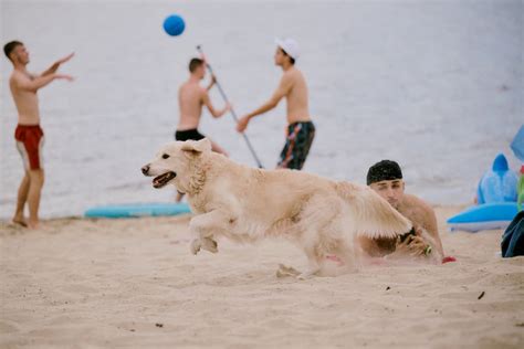 Щира комедійна історія про справжнє кохання у березні в кінопрокат вийде романтична комедія