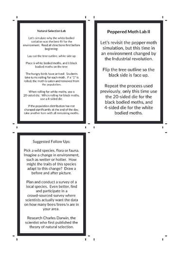 Natural Selection Simulation Peppered Moth Lab By Good Idea Guy
