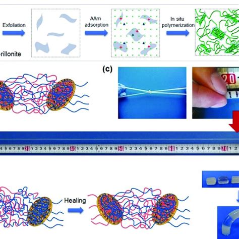 Montmorillonite Nanosheet Crosslinked Hydrogels A In Situ