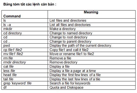 Wiki Matbao PageImage Cac Cau Lenh Command Co Ban Tren Server Linux Command Linux Basic