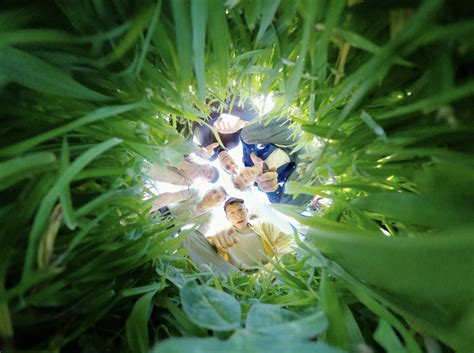 Squid Crispy Skin — When The Horn Blows